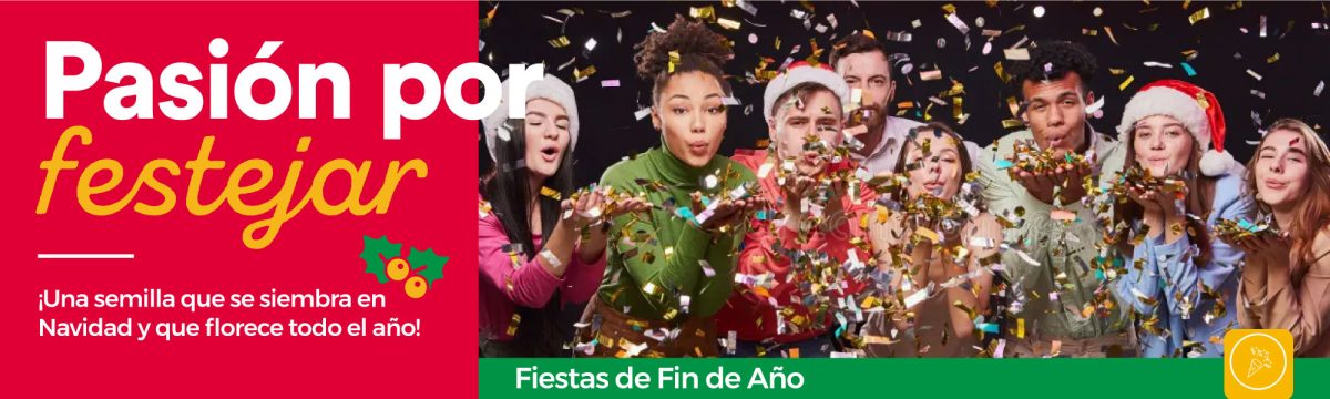 Impactante Fiestas de Fin de Año 2024-25